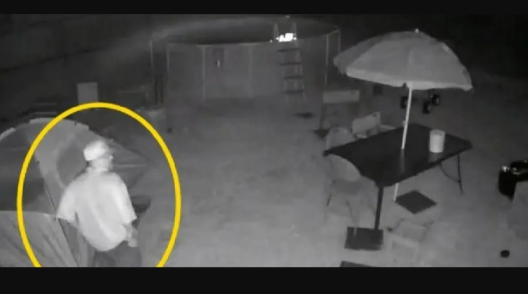 Viral video of a father warns other parents – Dad taking justice in his ...