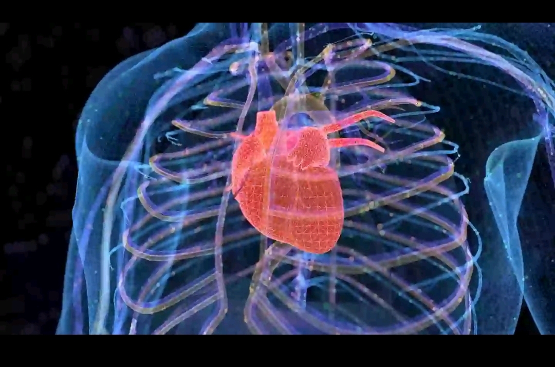 Hidden symptoms of having ‘hole in heart’ as thousands could have ...