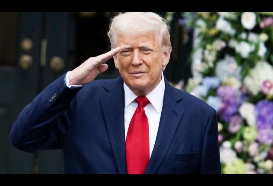 CNN halted for breaking news as Donald Trump’s devastating mistake ...