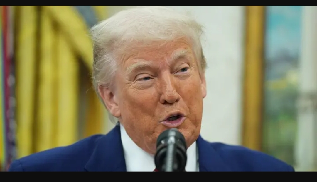 Judge Steals 1 Of Trump’s Moves To Emphasize How Dumb His Executive