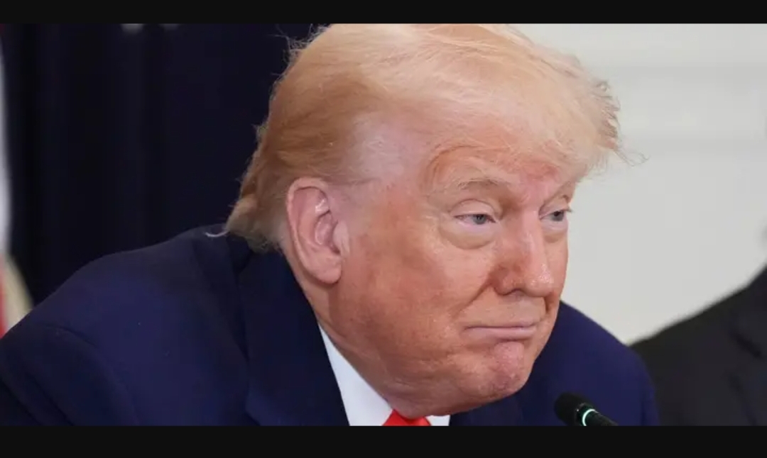 CNN Guest Describes Donald Trump’s Whole Personality In Just 3 Words